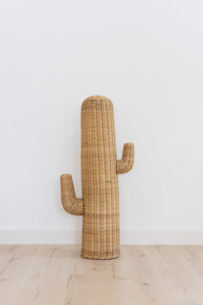 Rattan Cactus – White Moss